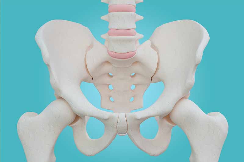 What are Kegels? And how are they different from pelvic floor muscle ...